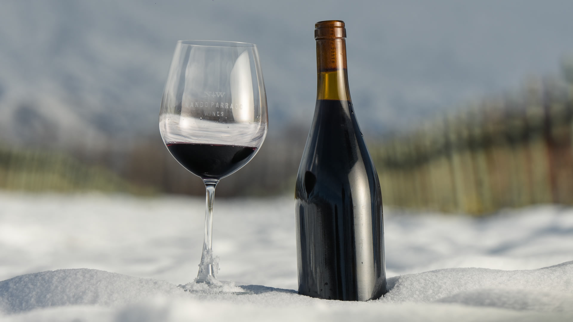 Los Vinos – NANDO PARRADO WINES